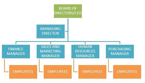 FUNCTIONAL ORGANIZATIONAL STRUCTURE The Activities Of The