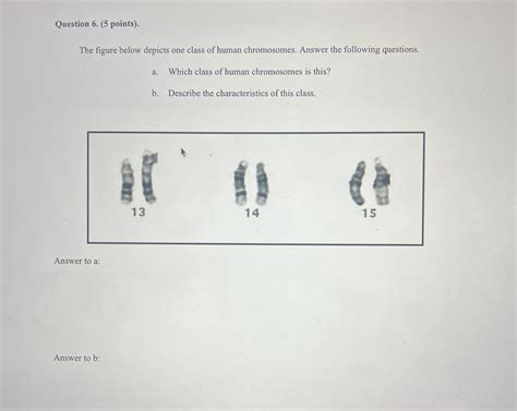 solved question 6 5 ﻿points the figure below depicts one