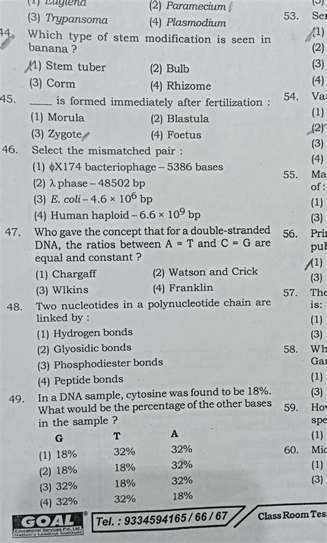 Which Type Of Stem Modification Is Seen In Banana Filo
