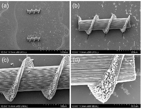 figure 1 from design fabrication and wireless control of 3d microprinted robots for biomedical