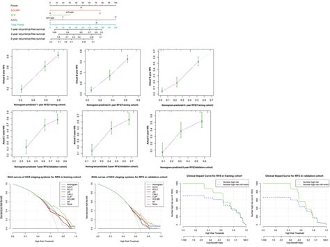 nomogram for rfs predictions and calibration plots decision curve