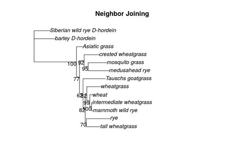 Chapter 15 Building A Parsimony Tree Molecular Phylogenetic Techniques