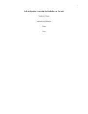 Lab Assignment Docx Docx Lab Assignment Assessing The Genitalia And Rectum Babe S