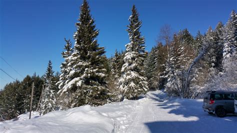 Снежна разходка до Витоша Боерица Кумата Раждане на добро настроение