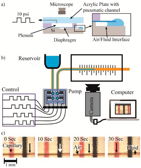 towards an implantable low flow micropump that uses no power in the