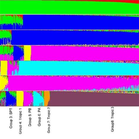 Pdf Molecular Characterization Of Global Maize Breeding Germplasm