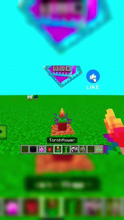 Minecraft Viral Hack Minecraft Viralhacks Shorts Shortvideo Youtube