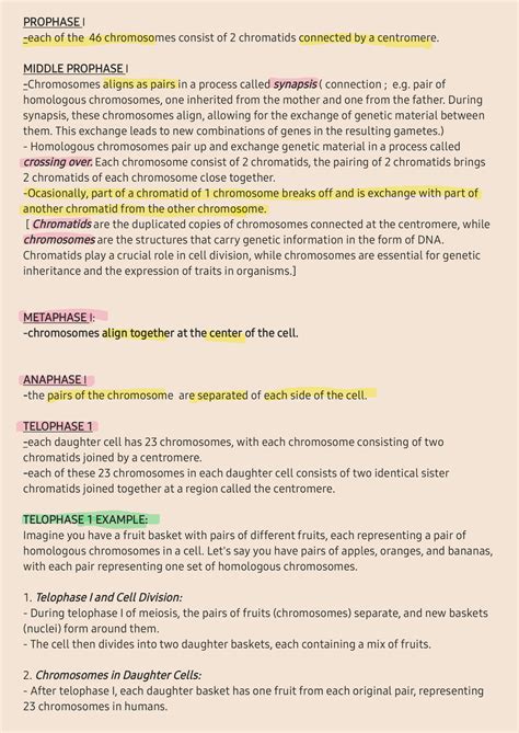 Solution Reproductive System Anatomy And Physiology Meiosis
