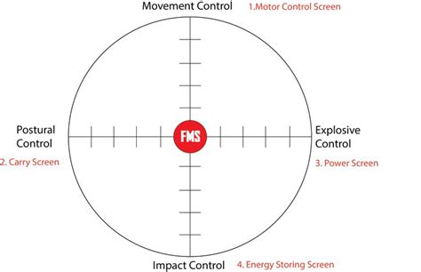 Introduction To The Fundamental Capacity Screen Functional Movement Introduction To The Fundamental Capacity Screen Functional Movement