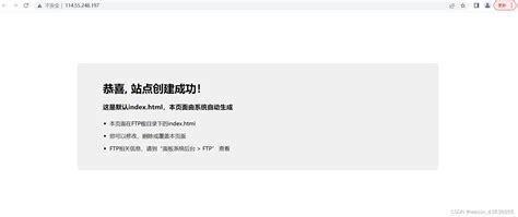 宝塔（四）之前端（ruoyi）部署若依前端部署nginx Csdn博客