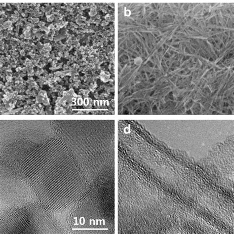 Scanning Electron Microscopy Sem Micrographs Of Pristine A Tio2 Nps Download Scientific