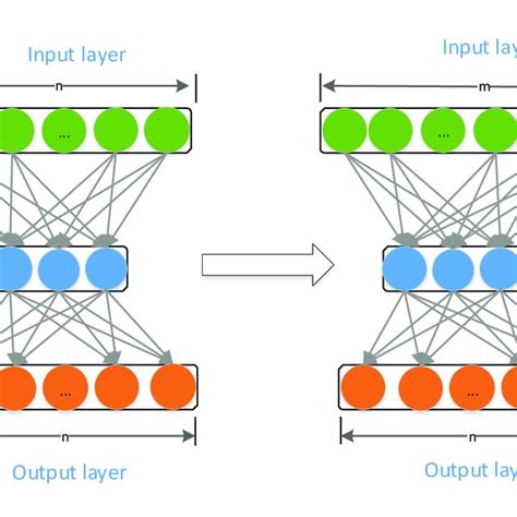 Illustration Of Autoencoder And Semi Autoencoder Download Scientific
