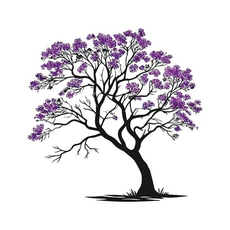 Jacaranda Tree Bold Outline For Unique Illustrations 57812469 Vector Art At Vecteezy