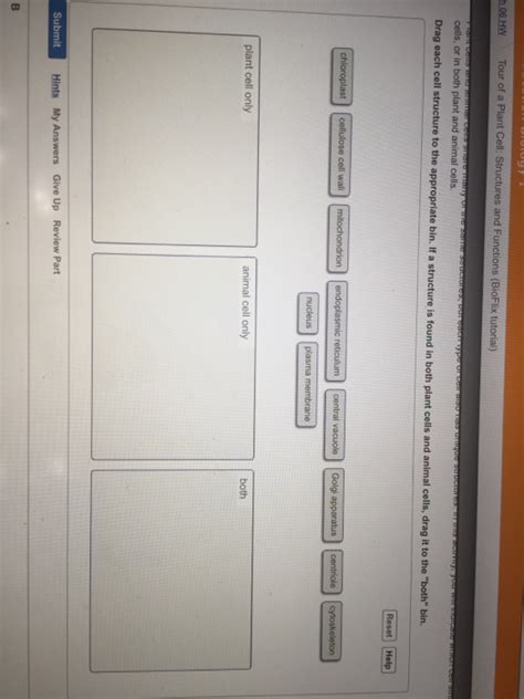 solved drag each cell structure to the appropriate bin if a