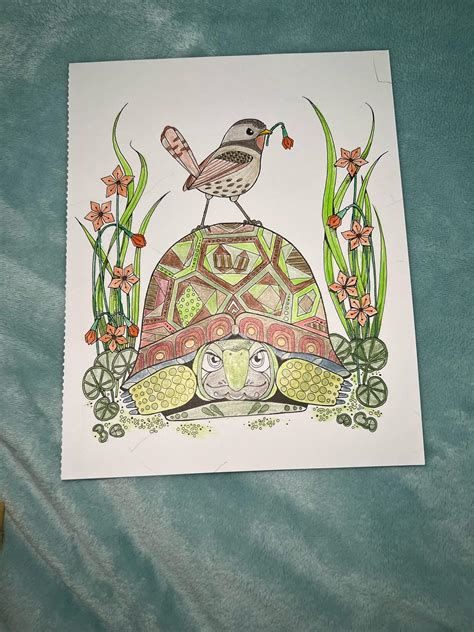 Grumpy Turtle Rcoloring