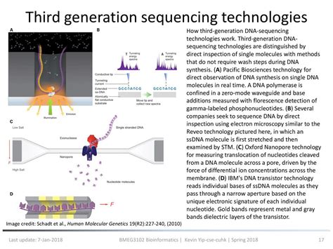 Lecture 8 High Throughput Data Processing And Analysis Ppt Download