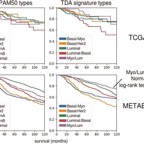 Kaplan Meier Survival Analysis Of The Subgroups Of The Tcga And