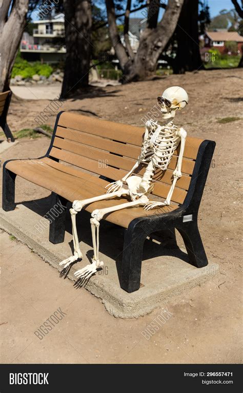 Skeleton Sits On Bench Image And Photo Free Trial Bigstock