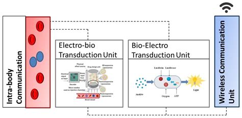 Hybrid Deep Learning Techniques For Securing Bioluminescent Interfaces