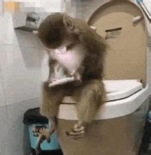 Sittin On The Toilet Meme