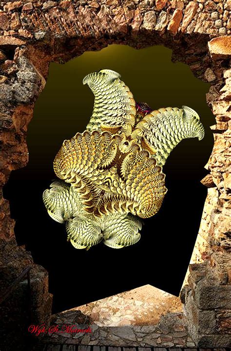 Presentation Of Fractal Of The Turtle By Matstan2610