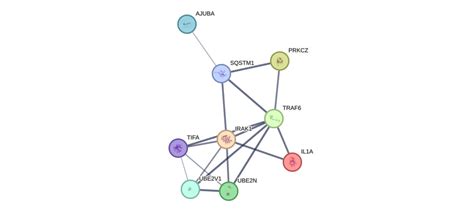 Pathcards Interleukin 1 Induced Activation Of Nf Kb Pathway And Related Pathways