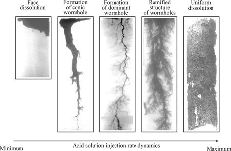 The Appearance Of Dissolved Pore Space Obtained By Injection Of Download Scientific Diagram