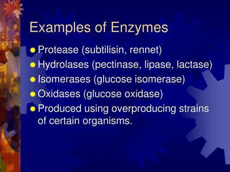 Enzymes Examples