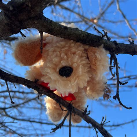 Mouth Sex Youtube Music