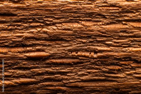 Foto De Stock Wood Structure Cross Section Of A Log Showing The Pattern And Texture Created