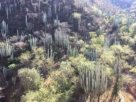 Ecological Data Analysis Biodiversity Analytics