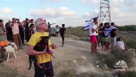 Sassi Hamdi On Linkedin Freepalestine Gazaunderattack Freedom