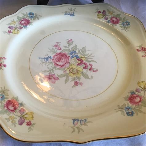 Eggshell Nautilus Usa Etsy