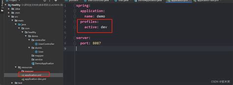 从零开始搭建springboot项目，并且用mybatis进行数据查询（包含所用数据库）springboot Mybatis进行数据库交互
