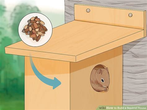 Squirrel Houses How To Build At Janet Simmons Blog