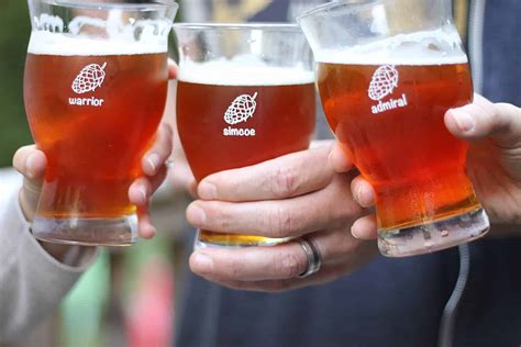 Best Stout Glasses To Use In Your Home Bar Beertannica