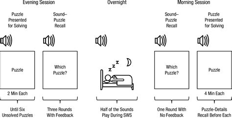 figure 2 from targeted memory reactivation during sleep improves next