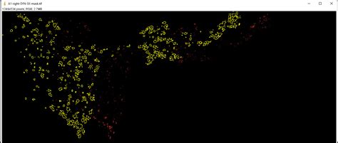 Macro Results Vary When Calling It Via Pyimagej Usage And Issues Imagesc Forum