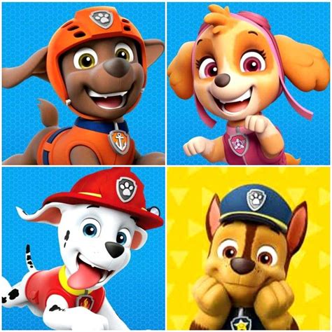 Pin By Renee Law On Paw Patrol Paw Patrol Paw Matchbox