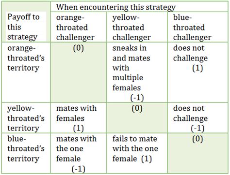 Ib Myp 4 5 Biology Chapter 12 Models Practice Questions