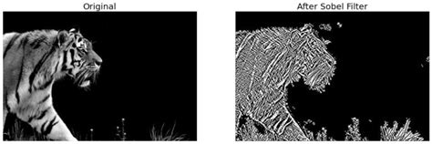 Edge Detection Using Opencv Learnopencv