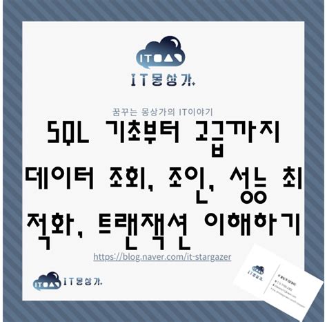 sql 기초부터 고급까지 데이터 조회 조인 성능 최적화 트랜잭션 이해하기 it몽상가