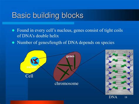 PPT DNA Computing Tutorial PowerPoint Presentation Free Download ID