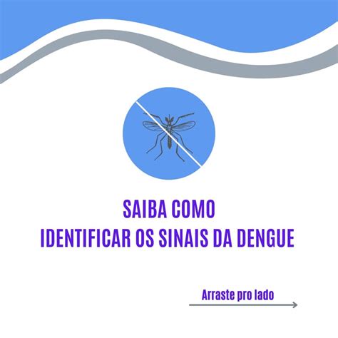 Modelos Grátis E Personalizáveis De Dengue Canva
