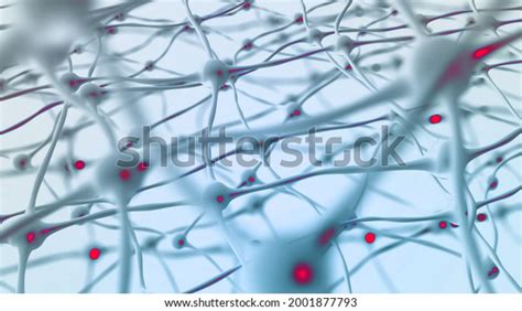 Inside Data Processing Brain Under Microscope Stock Illustration 2001877793 Shutterstock