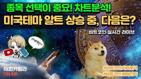 비트코인 실시간 미국코인 테마 상승 중 다음은 종목선택 중요 차트분석 13 점심💎비트코인 비트코인실시간 이더리움