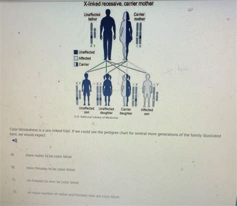 Answered X Linked Recessive Unaffected Father… Bartleby