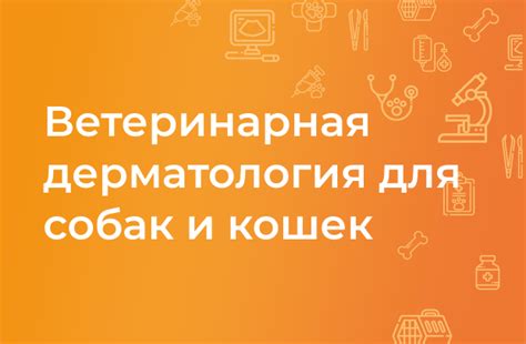 Ветеринарная дерматология для собак и кошек | ВЦ МЕДВЕТ Домодедово