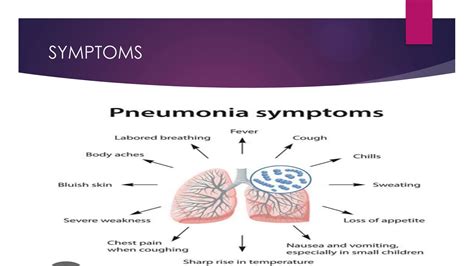 Streptococcus Pneumoniae Streptococcus Slideshare Ppt