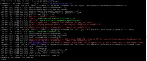 Where Should The Name Of Domain And Text Record Be Added For Acme Sh DNS Manual Method Help